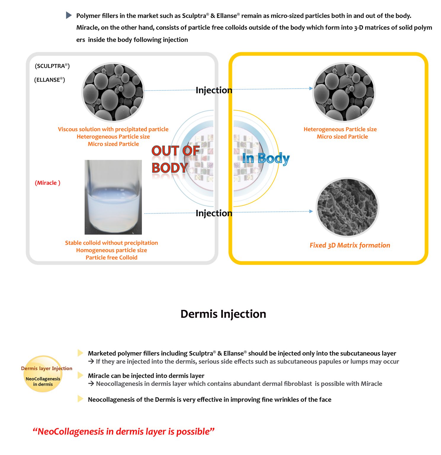Miracle L - Skin Booster Injection: Reviews, Before & After | Derma ...