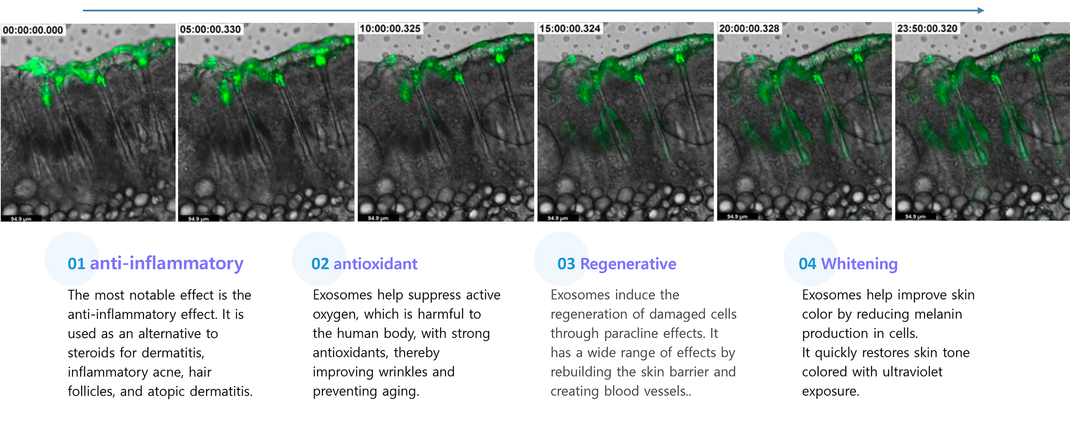 EXOXE - Buy Online | Derma Solution