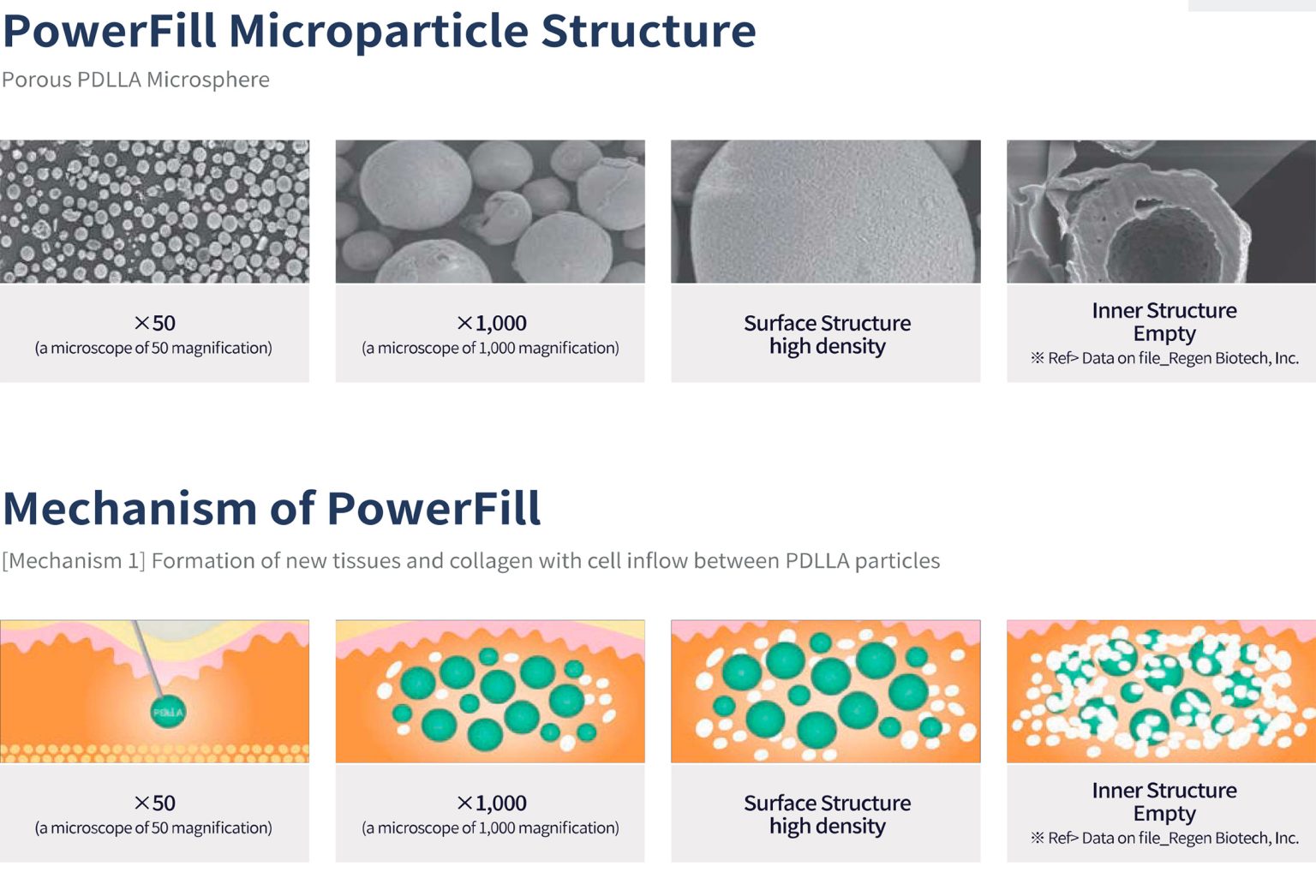 PowerFill – Buy Power Fill Filler Injection Online | Derma Solution